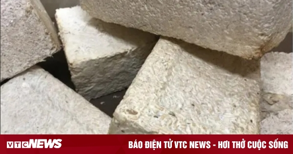 NASA nghiên cứu xây dựng căn cứ ngoài Trái Đất từ cây nấm