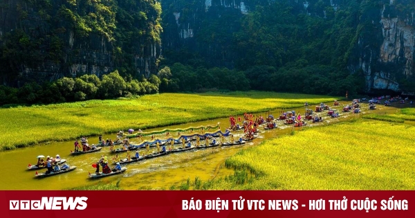 Chiêm ngưỡng mùa lúa chín vàng óng bên dòng sông Ngô Đồng