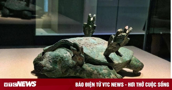 Đưa 'con ba ba' có 4 mũi tên trên lưng đi thẩm định, ngã ngửa biết giá ...