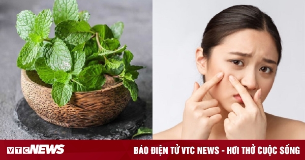 Mẹo làm sạch mụn bằng các loại lá có sẵn ngoài tự nhiên